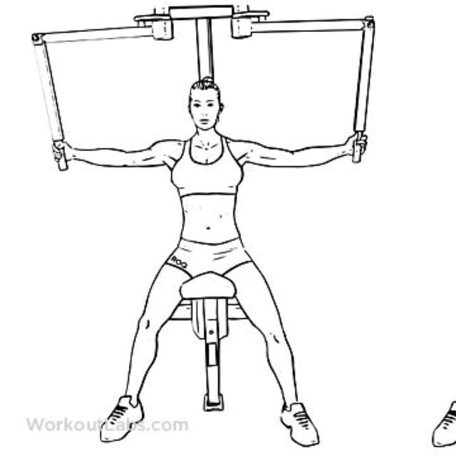 Seated Machine Fly by Tabitha Moore - Exercise How-to - Skimble