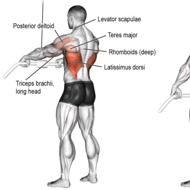 Straight Arm Pull Down by Tabitha Moore - Exercise How-to - Skimble