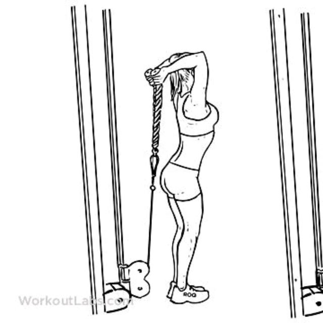 Cable Overhead Tricep Extension - Exercise How-to - Workout Trainer by ...