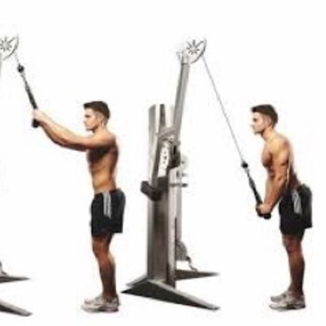 High cable press down tricep by Adele A. - Exercise How-to - Skimble