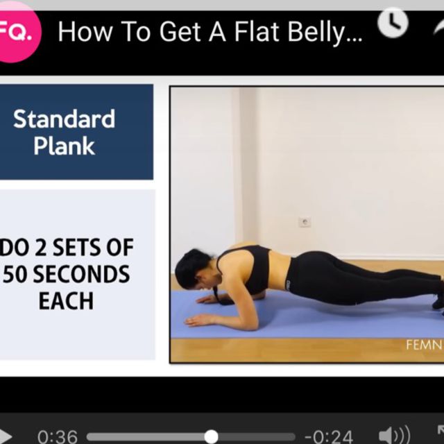Standard Plank by Bridgitte Dabrowski - Exercise How-to - Skimble