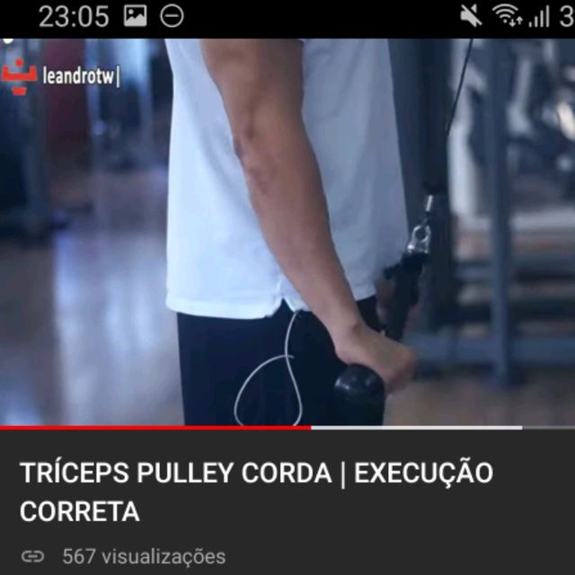 Triceps Pulley Corda by Alexandre N. - Exercise How-to - Skimble