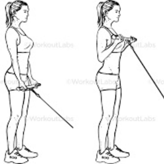 Low cable curl by Adele A. - Exercise How-to - Skimble