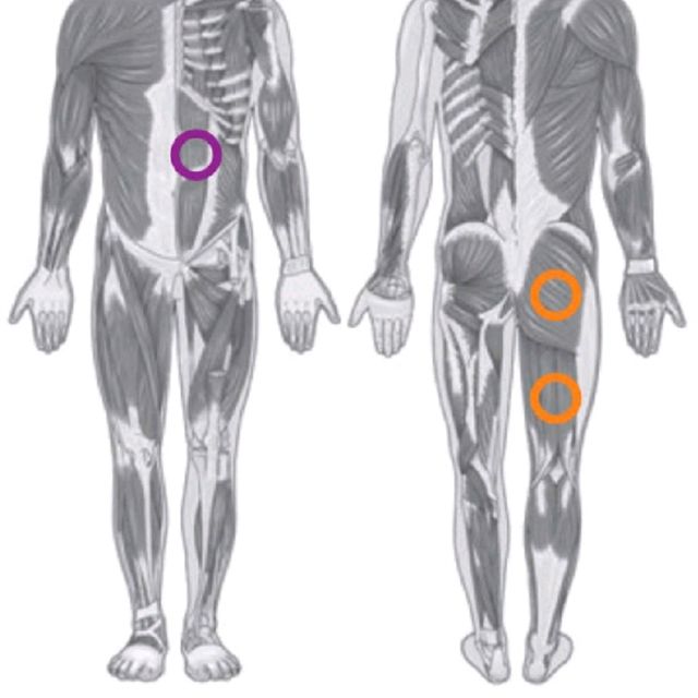 Hip Press TRX by Anthony Dubs - Comment faire de l'exercice - Skimble