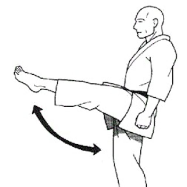 Mae Geri - Exercise How-to - Workout Trainer by Skimble