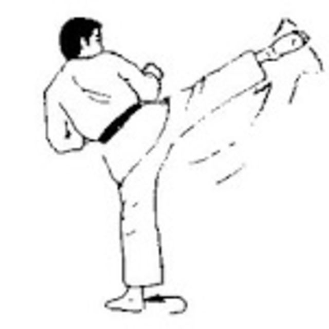Mawashi Geri by Gordon Kennedy - Exercise How-to - Skimble
