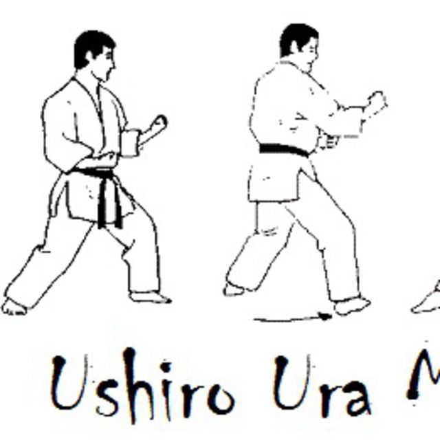 Ushiro Ura Mawashi Geri - Exercise How-to - Workout Trainer by Skimble