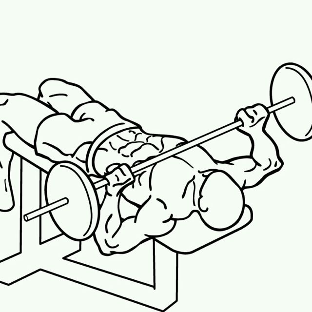 Decline Bench Press by Ozan Civan - Exercise How-to - Skimble