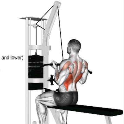 Underhandreverse Grip Lat Pulldown Youtube