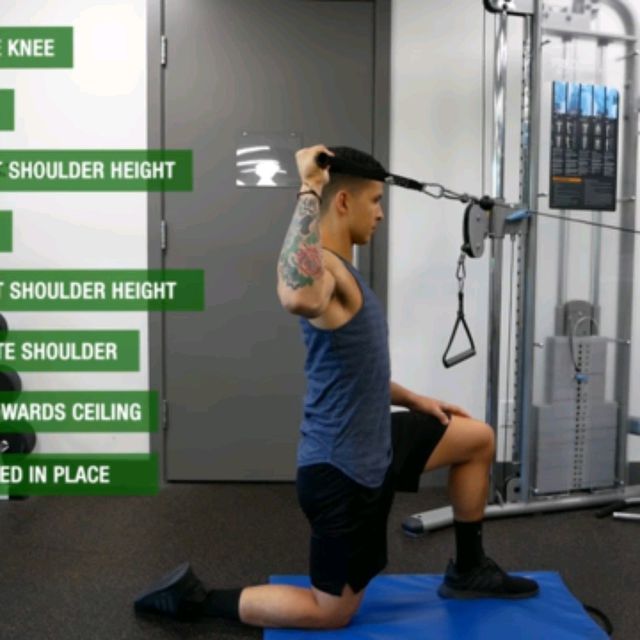 Band Back Turn Ups by Michael Tils - Exercise How-to - Skimble