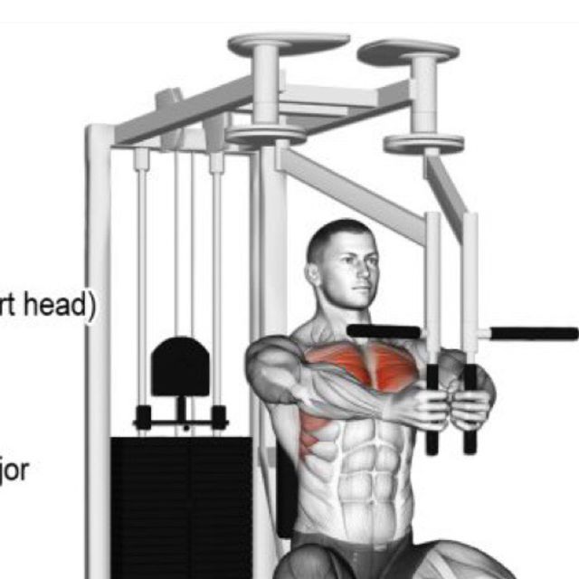 Pecs Sur Multi-station by Line L. - Comment faire de l'exercice - Skimble