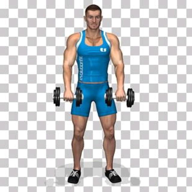 Upright Row To Hammer Curl by Gerrand Crosby - Exercise How-to - Skimble