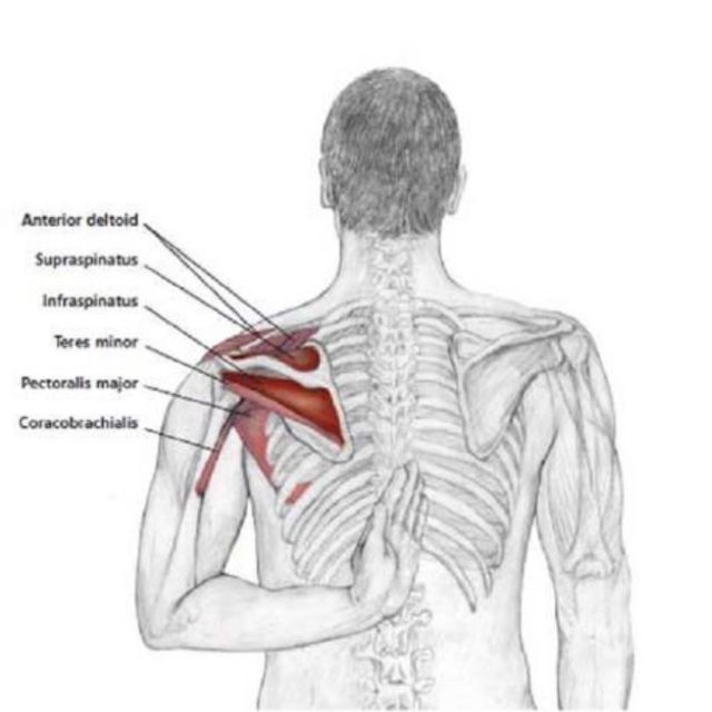 Right Reaching-up Shoulder Stretch by Martin B. - Exercise How-to - Skimble