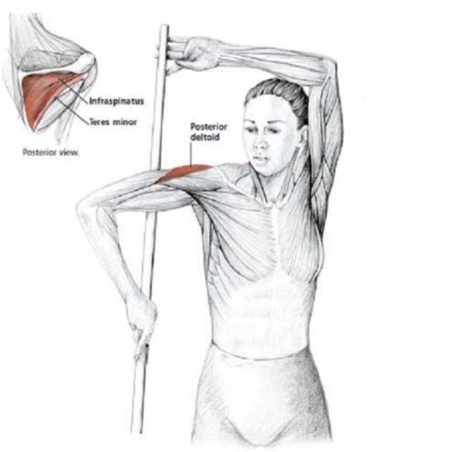 Left Arm-down Rotator Stretch by Martin B. - Exercise How-to - Skimble