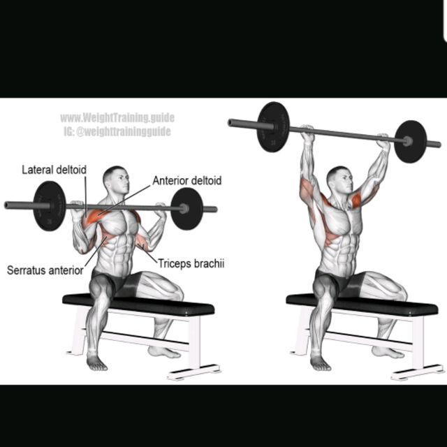 Front And Back Barbell Shoulder Press - Exercise How-to - Workout ...