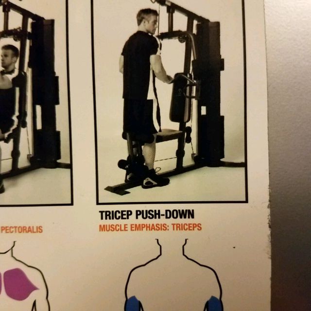 Tricep Push-Down - Exercise How-to - Workout Trainer by Skimble