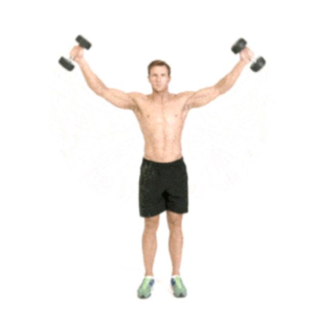 Dumbbell Scaption by Zoran Antic - Exercise How-to - Skimble
