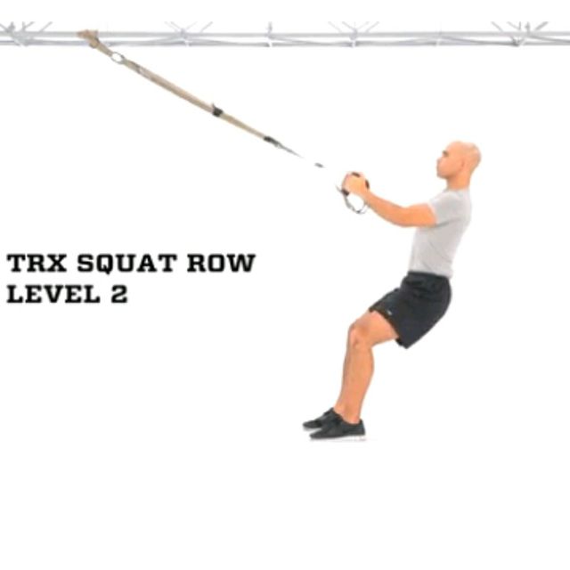 Trx Squat Row Level 2 - Exercise How-to - Workout Trainer by Skimble