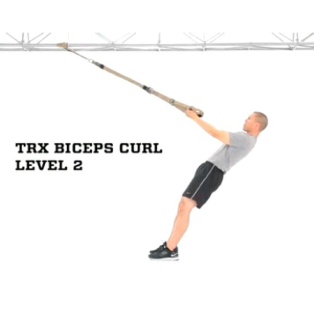 Trx Biceps Curls Level 2 by Alex 🌊. - Exercise How-to - Skimble