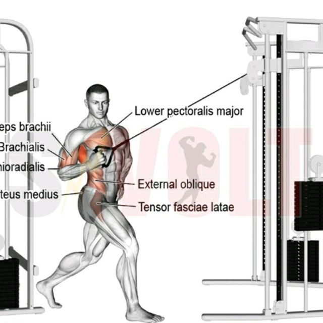 High Cable Rows by Deathly Spectre - Exercise How-to - Skimble