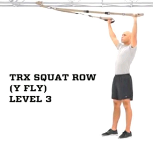 TRX Squat Y Fly Level 3 - Exercise How-to - Workout Trainer by Skimble