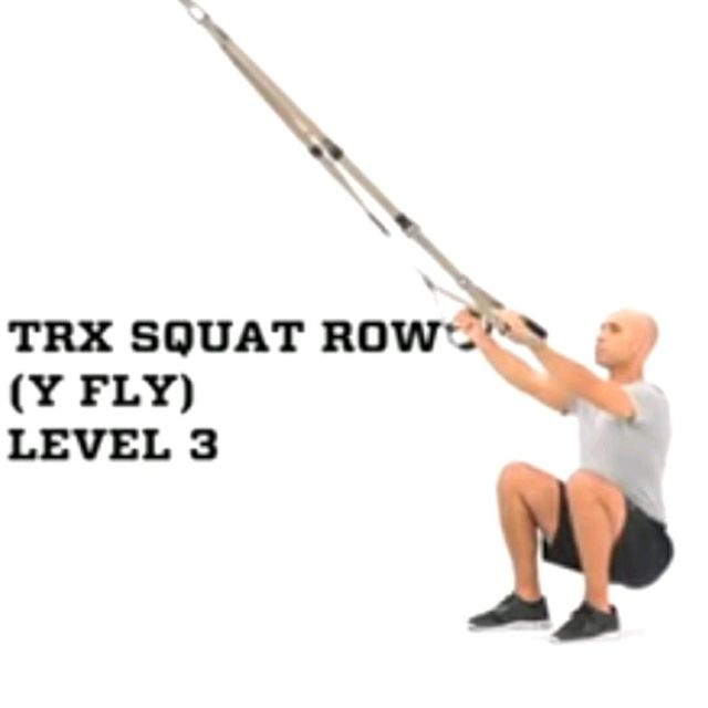 TRX Squat Y Fly Level 3 by Alex 🌊. - Exercise How-to - Skimble