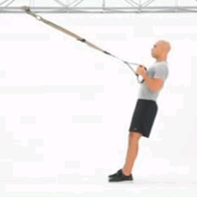 TRX Low Row To Chest Press Level 2 - Exercise How-to - Workout Trainer ...