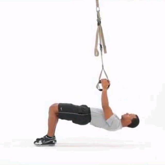 TRX Inverted Row Lev 2 - Exercise How-to - Workout Trainer by Skimble