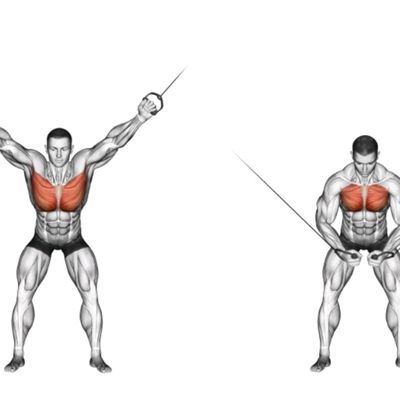 Rematore Bill - Exercise How-to - Workout Trainer by Skimble