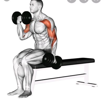 Rematore Bill - Exercise How-to - Workout Trainer by Skimble