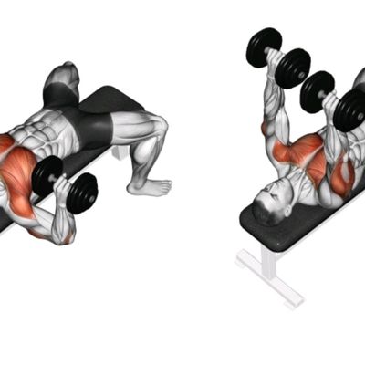 Rematore Bill - Exercise How-to - Workout Trainer by Skimble