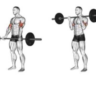 Rematore Bill - Exercise How-to - Workout Trainer by Skimble