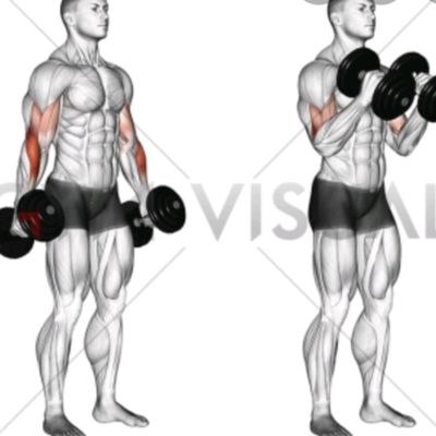 Rematore Bill - Exercise How-to - Workout Trainer by Skimble