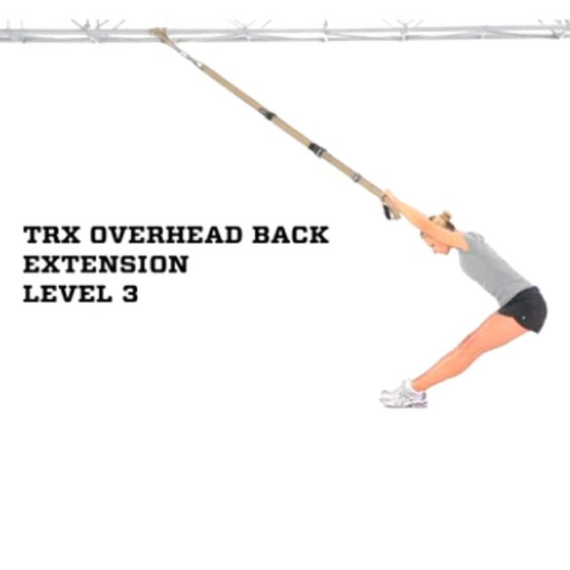 TRX Overhead Back Extension - Exercise How-to - Workout Trainer by Skimble