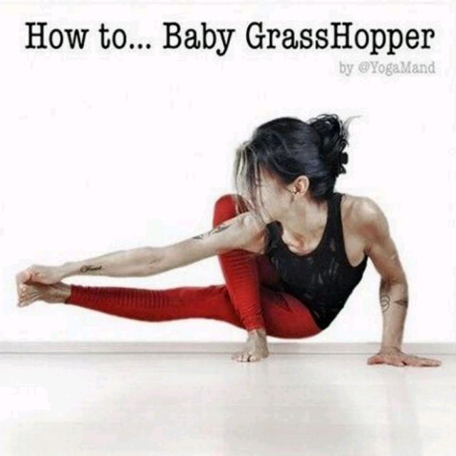 Baby Grasshopper - Exercise How-to - Workout Trainer by Skimble