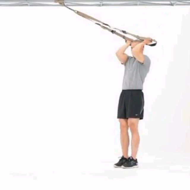 TRX Low Row To Biceps Curl To Y Fly by Alex 🌊. - Exercise How-to - Skimble