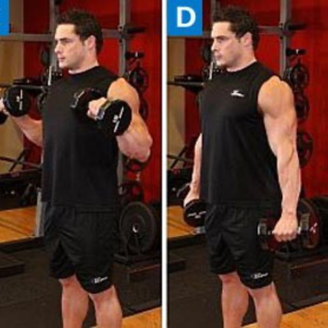 Zottman Curls by Nakeia B. - Exercise How-to - Skimble