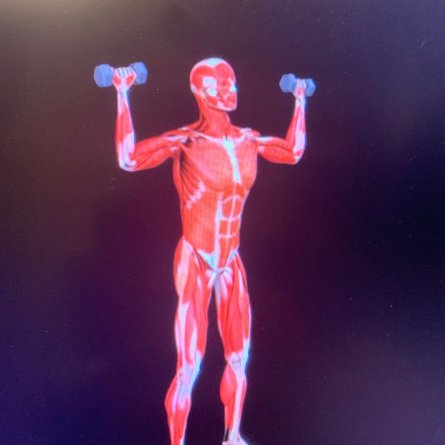 Dumbbell Scarecrow - Exercise How-to - Workout Trainer by Skimble