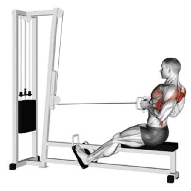 Seated Row by Blissed Out Baker -plant Based Chef - Exercise How-to ...