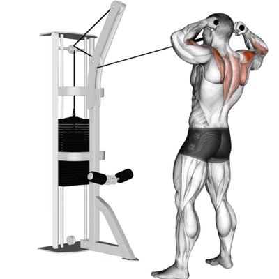 Incline Bench Pull - Exercise How-to - Workout Trainer by Skimble