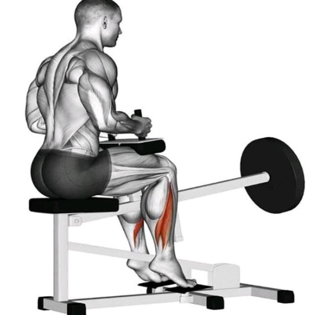 Seated Heel Raises - Exercise How-to - Workout Trainer by Skimble