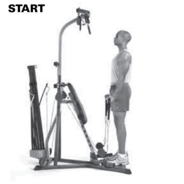 BowFlex Bicep Curl by Mark S. - Exercise How-to - Skimble