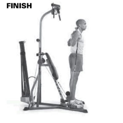 BowFlex Standing Low Back Extension - Exercise How-to - Workout Trainer ...