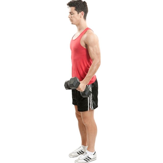 Hammer Curl by Alberto Mustacchi - Exercise How-to - Skimble