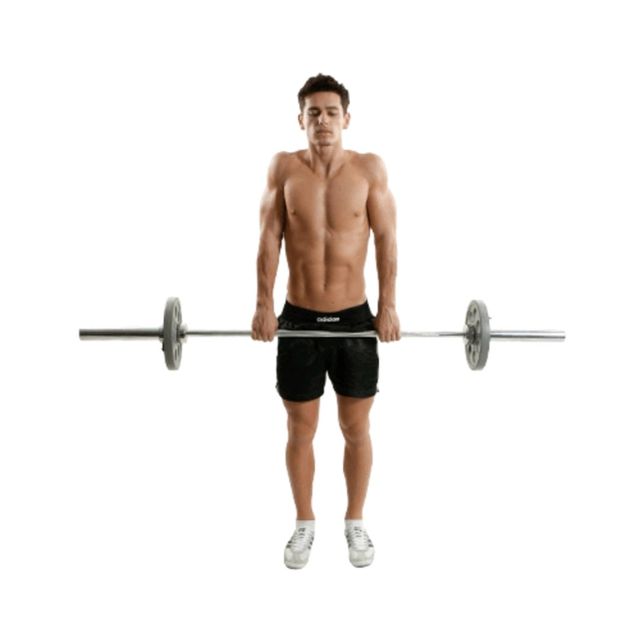 Barbell Shrug. by Alberto Mustacchi - Exercise How-to - Skimble