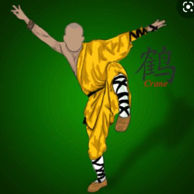 Kung Fu • Wushu Stances 🥋🔥 - Member Workout by Bernadette Cordeau ...