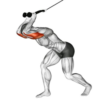 Standing Cable Lat Pushdown - Exercise How-to - Workout Trainer by Skimble