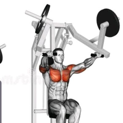 Seated Row ( Hammer Over Grip ) - Exercise How-to - Workout Trainer by ...