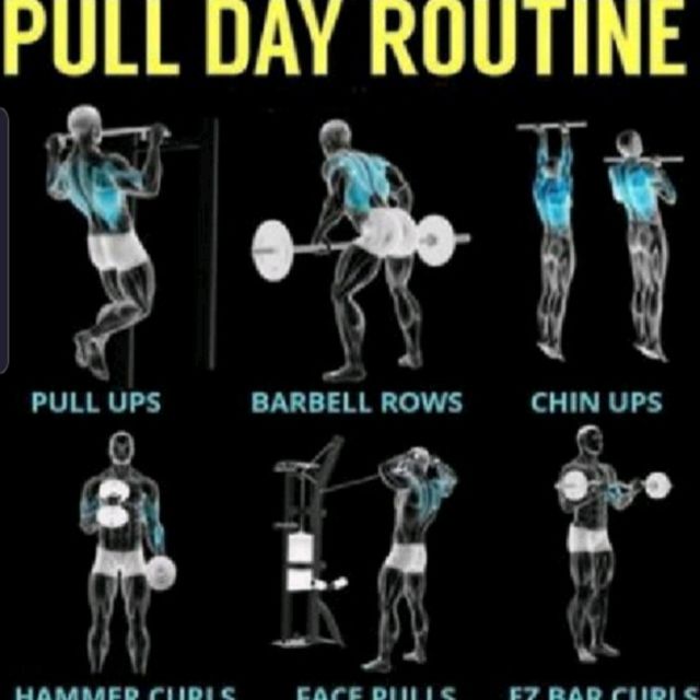 Pull / Back Biceps A - Free Back Workout by David M. - Skimble