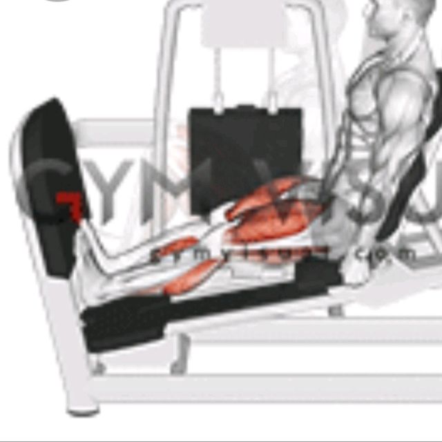 Leg Press 90° - Exercise How-to - Workout Trainer by Skimble